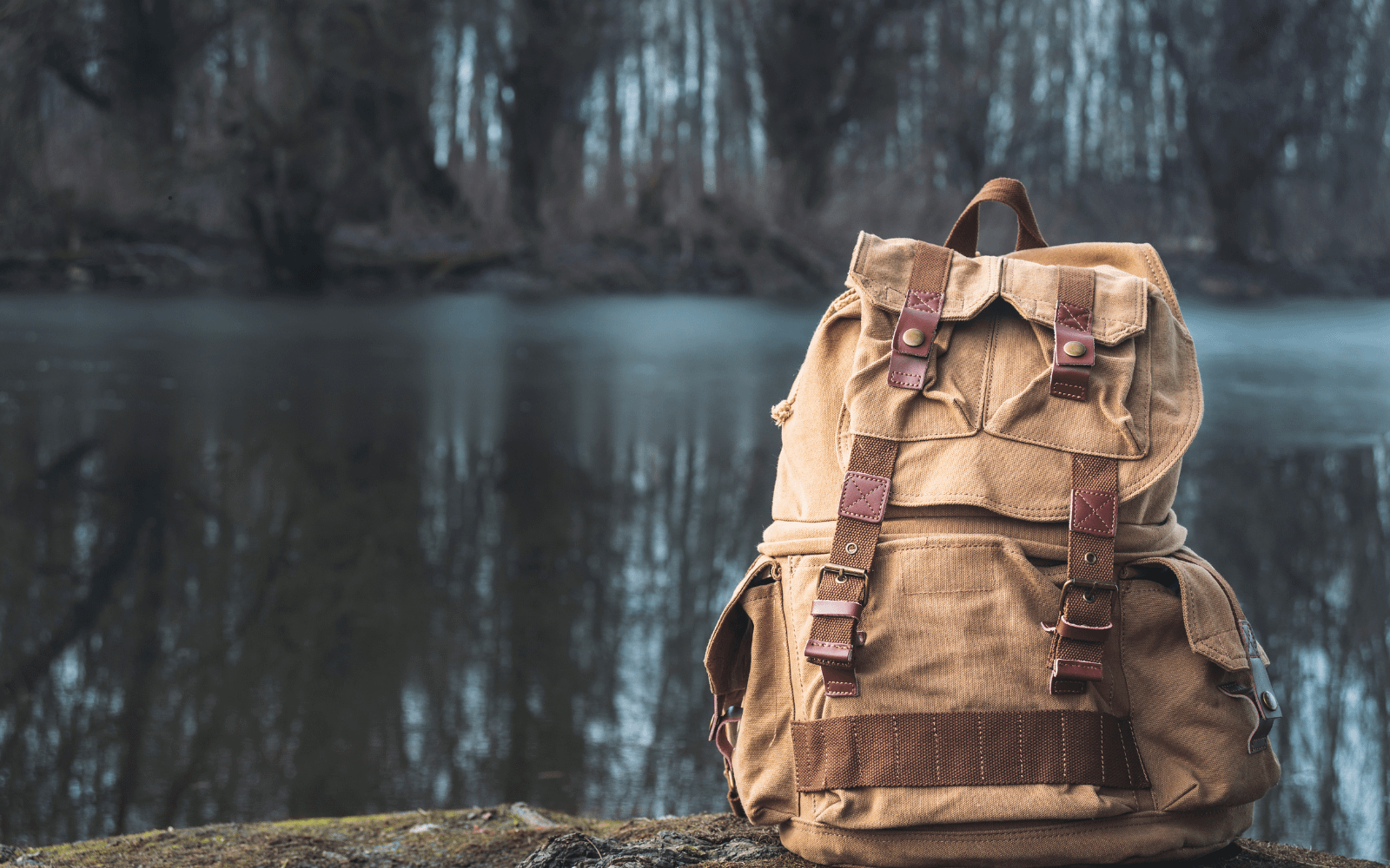 Explore Uno | Trending Finds, Viral Gifts & Smart Picks